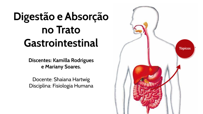 Digestão e Absorção do trato gastrointestinal by kamis rodrigues on Prezi
