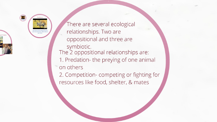 Relationships-Predation-Competition-Symbiosis by Megan Kidd on Prezi