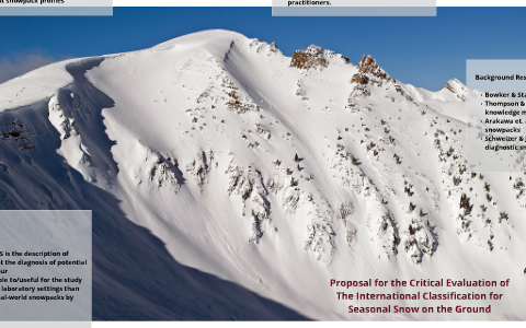 Proposal for the Critical Evaluation of the International ...