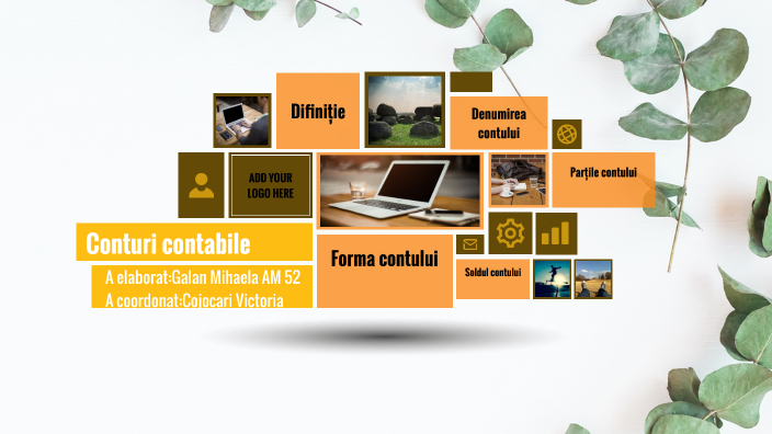 Conturile contabile by colegiu de medicină on Prezi