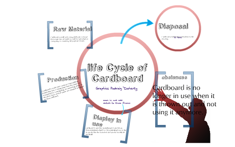 Life Cycle Of Cardboard by padraig doherty on Prezi