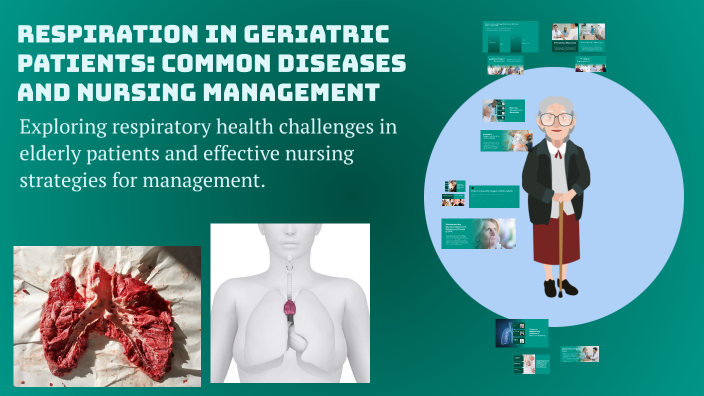 Respiration in Geriatric Patients: Common Diseases and Nursing ...