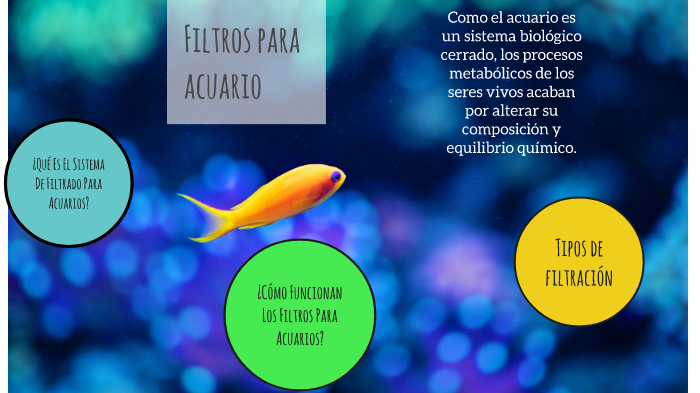 Filtros para acuario ♥ by Karim Ediel on Prezi
