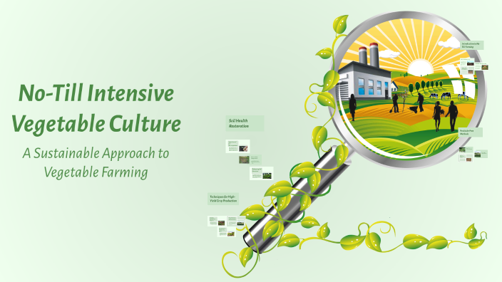 No-Till Intensive Vegetable Culture by Xavier Stokes on Prezi