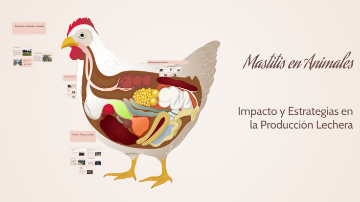 Mastitis en Animales by Natanael Esau Gonzales on Prezi