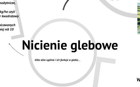 Nicienie glebowe by Agata Ślósarz on Prezi