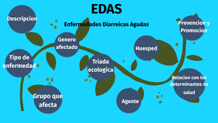 edas by LEYDI YAJAIRA CEDE O VELAZQUEZ on Prezi