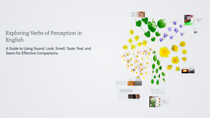 Exploring Verbs of Perception in English by Flávia Caetano on Prezi