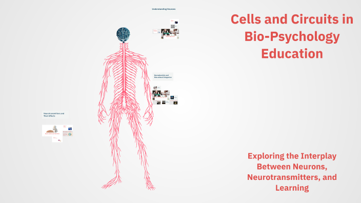 Cells and Circuits in Bio-Psychology Education by Larry Capacite on Prezi