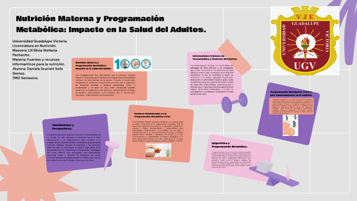 DSSG_Nutrición Materna y Programación Metabólica: Impacto en la Salud ...