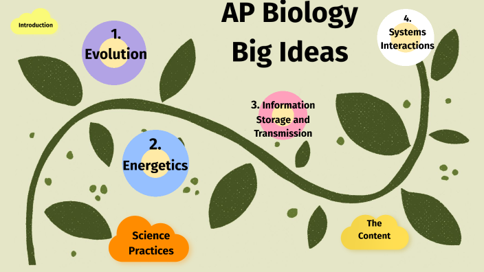 AP Biology 4 Big Ideas by Ken Grob on Prezi