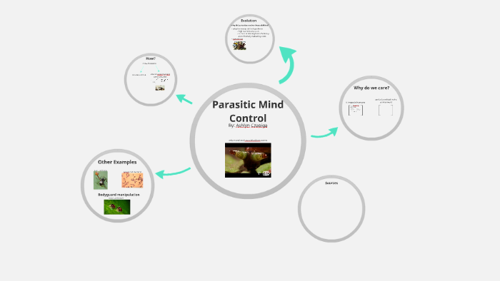 Parasitic Mind Control by Ashlyn Czapiga