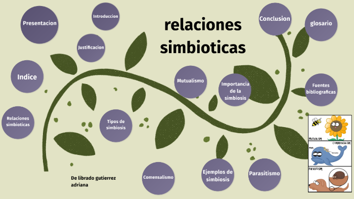 relaciones simbioticas-simbiosis by Karem Hernandez Hz on Prezi
