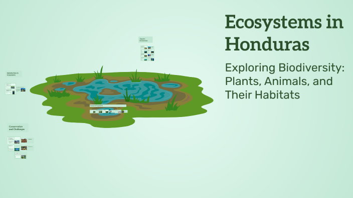 Ecosystems in Honduras by Osmin Reyes on Prezi