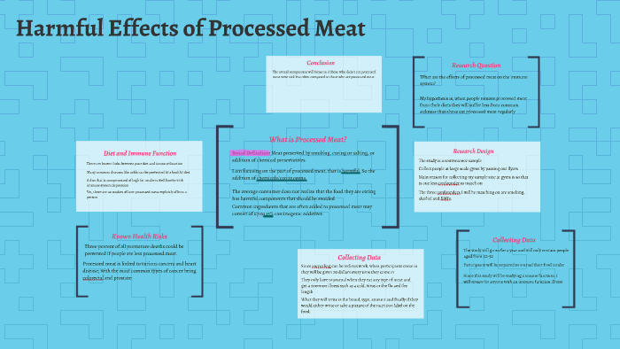 Harmful Effects of Processed Meat by Nikki McGinnis