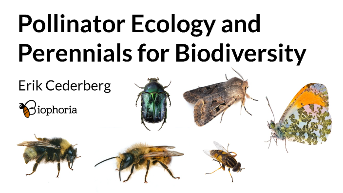 Pollinator Ecology and Perennials for Biodiversity by Erik Cederberg on ...