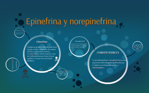 Epinefrina y norepinefrina by luz maria ramirez guillen on Prezi