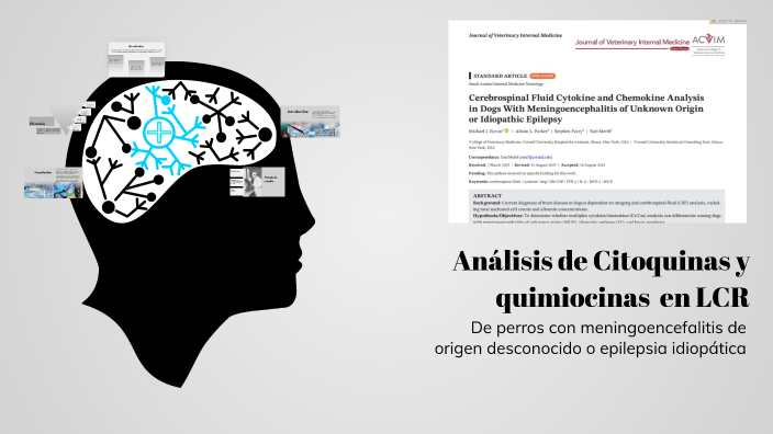 Análisis de Citoquinas en LCR Canino by Ángela Tenllado on Prezi