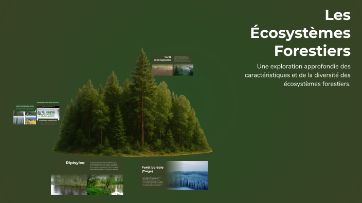 Les Écosystèmes Forestiers by Johanna on Prezi