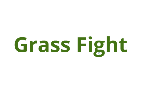 Grass Fight by Spencer Fitch on Prezi