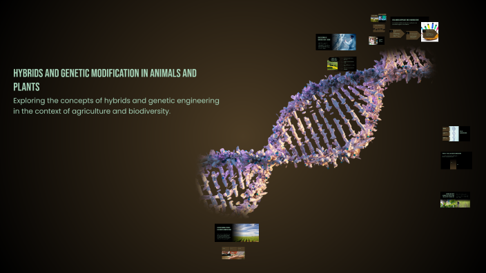 Hybrids and Genetic Modification in Animals and Plants by -راعيي الجممس ...