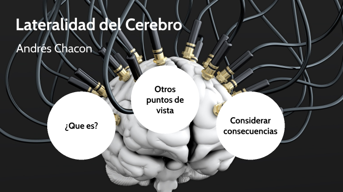 Lateralizacion del Cerebro by Andres Chacon on Prezi