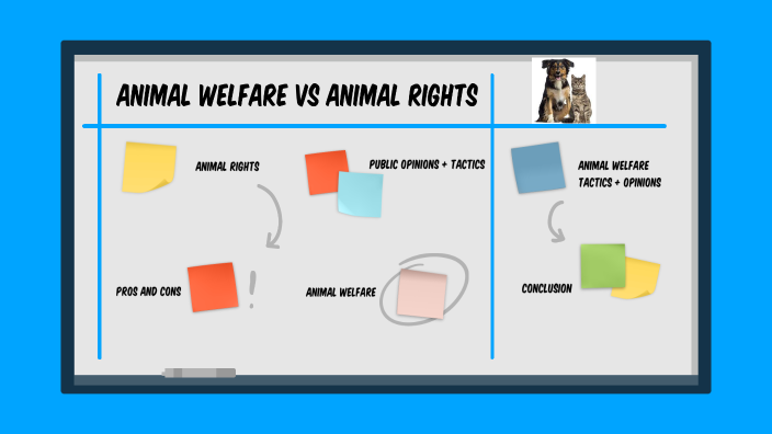 Animal rights vs Animal welfare by Jaylynn Walker on Prezi