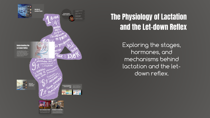 The Physiology of Lactation and the Let-down Reflex by hanna waytan on ...