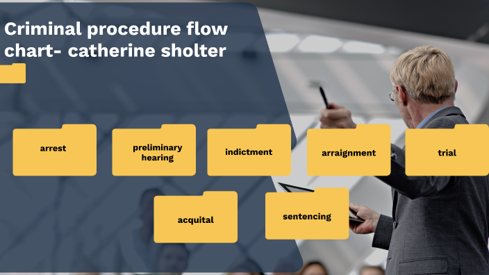 criminal procedure flow chart by Catherine Sholter on Prezi
