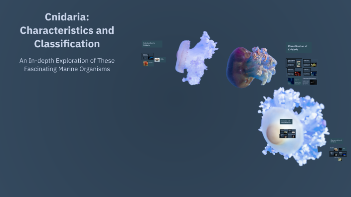 Cnidaria: Characteristics and Classification by renea muhaxhiri on Prezi