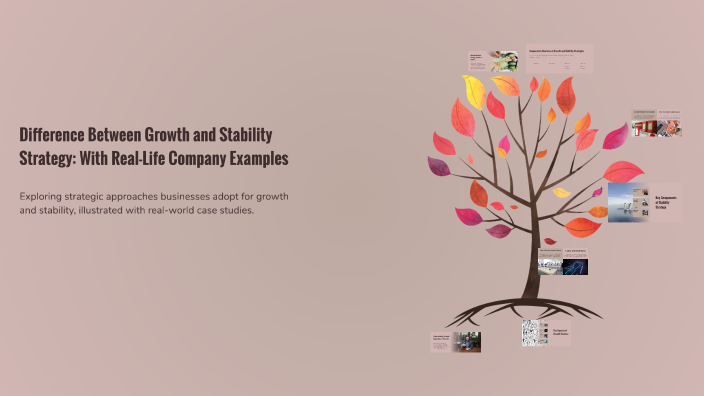 Difference Between Growth and Stability Strategy: With Real-Life ...