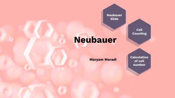 Neubauer Slide by Maryam Moradi on Prezi