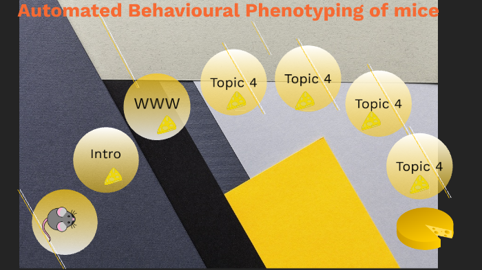 Automated behavioural phenotyping of mice by daniel neghina on Prezi