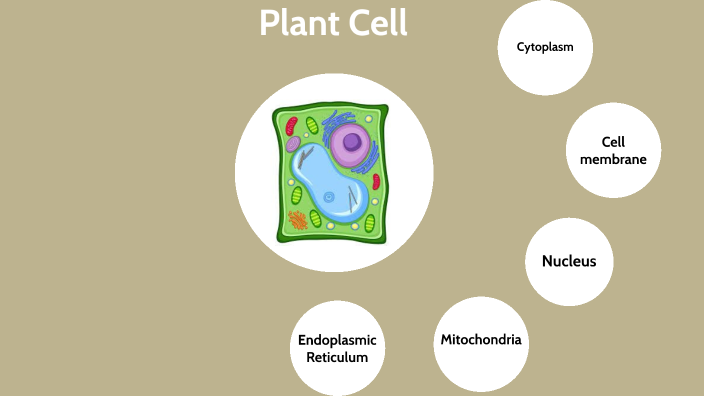 Cell organelle Analogy project by Jovani Alvarado on Prezi
