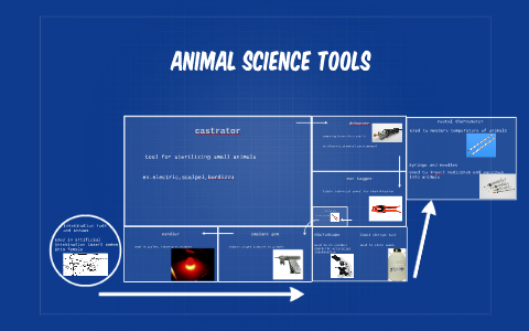 animal science tools by aaron bright on Prezi