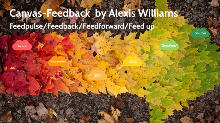 Presentation: Canvas Feedback by Lexo Williams on Prezi