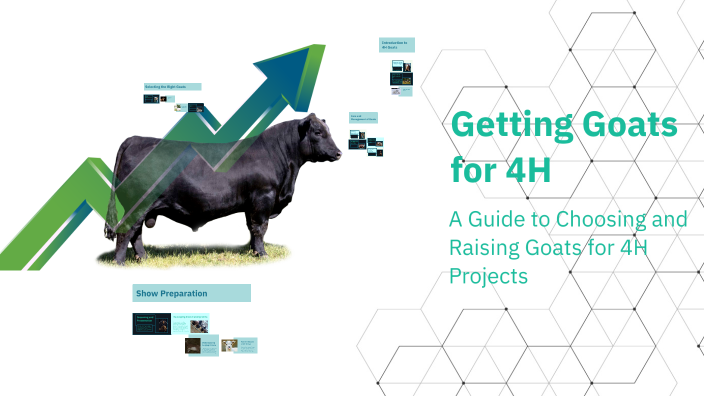Getting Goats for 4H by Betsy Harvey on Prezi