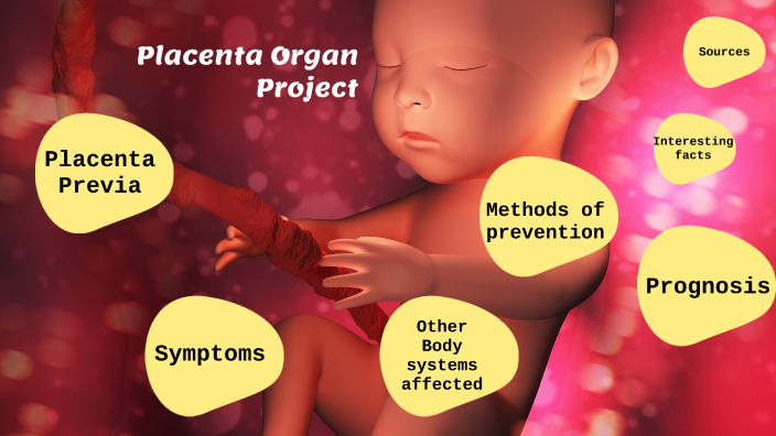 Anatomy final organ by Peyton Funk on Prezi