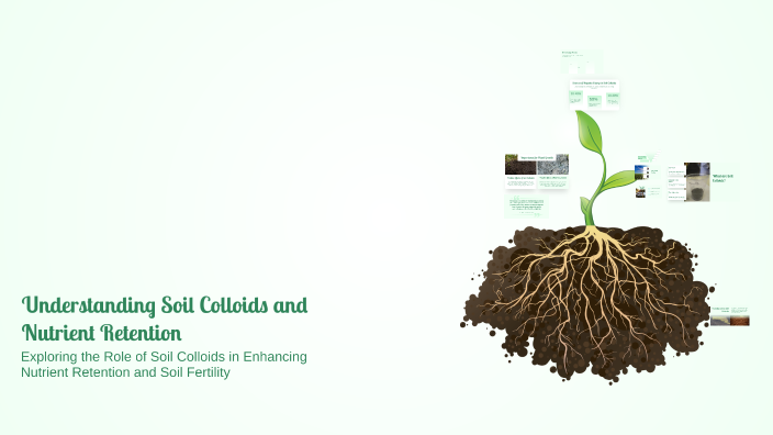 Understanding Soil Colloids and Nutrient Retention by BLIESSY MARIE ...