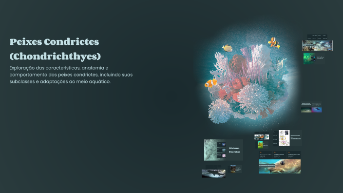Peixes Condrictes (Chondrichthyes) by Heitor de Lima Santos on Prezi