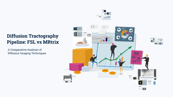 Diffusion Tractography Pipeline: FSL vs MRtrix by alle eidsness ch on Prezi