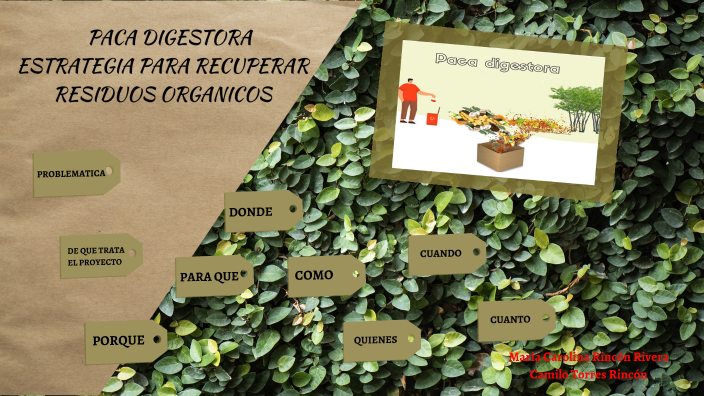 PACA DIGESTORA by olimac serrot on Prezi