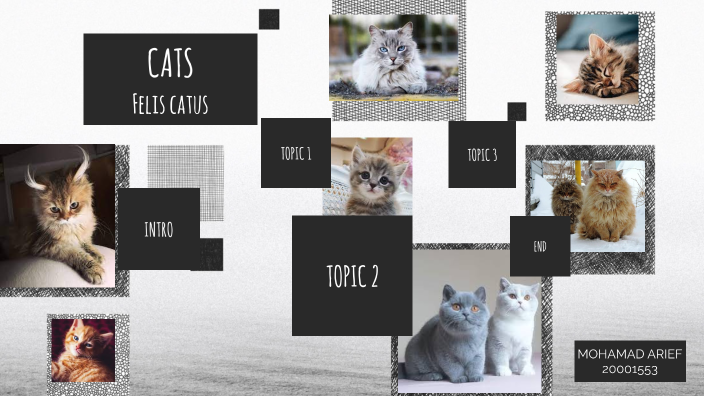 PCS presentation by Arief Faizal on Prezi