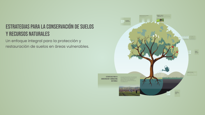 Estrategias para la Conservación de Suelos y Recursos Naturales by LUIS ...