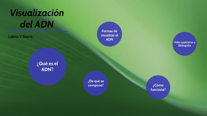 visualizacionADN.lobnaysayra by Sayra Cruz mata on Prezi