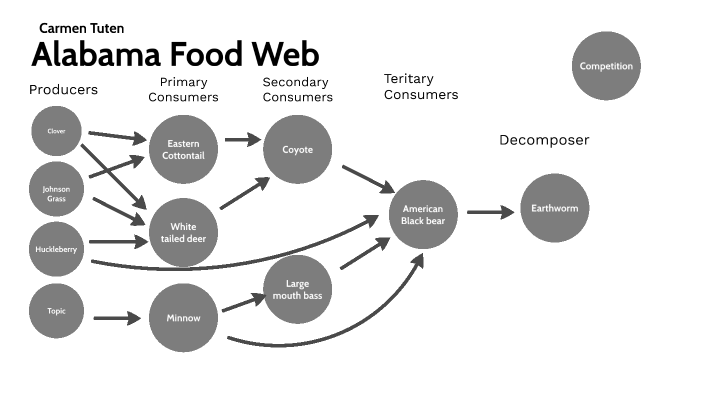 alabama food web by carmen tuten on Prezi