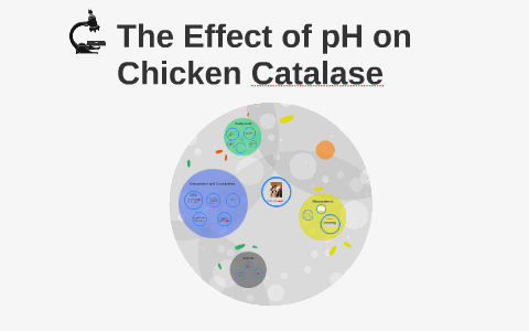 The Effect of pH on Chicken Catalase by Dani Shapiro on Prezi