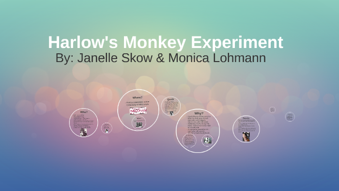 Harlow's Monkey Experiments by Janelle Skow