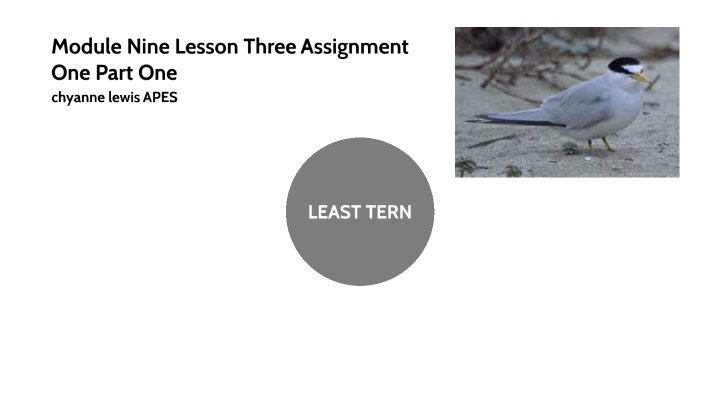 Module Nine Lesson Three Assignment One Part One by Chyanne Lewis on Prezi