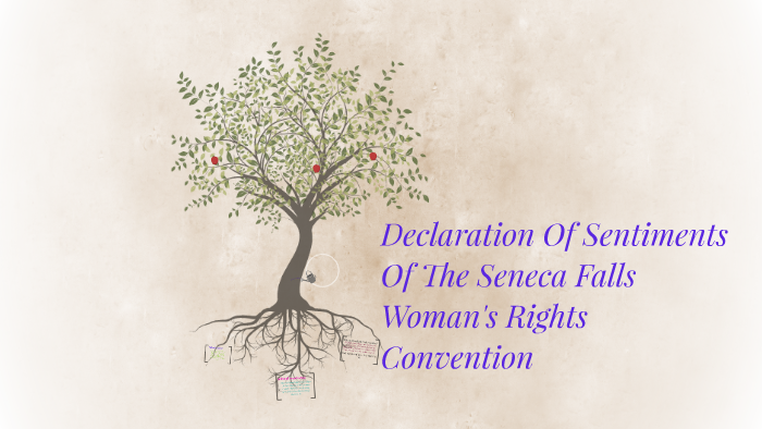 Declaration Of Sentiments Of The Seneca Falls Woman's Rights by Electra ...